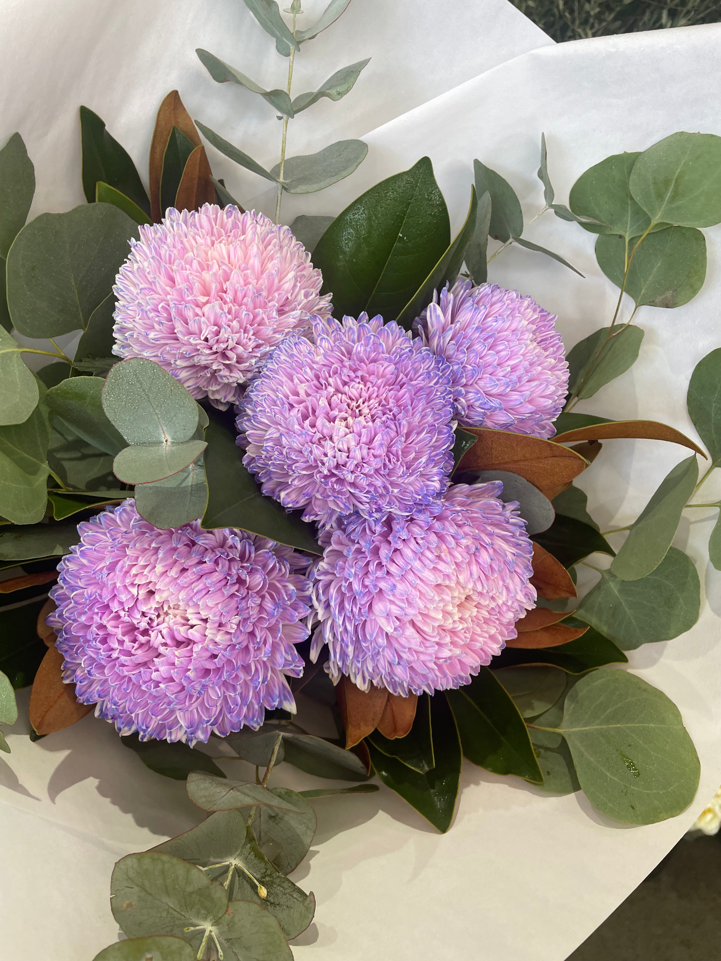 Coloured Disbuds – Spotted Orchid